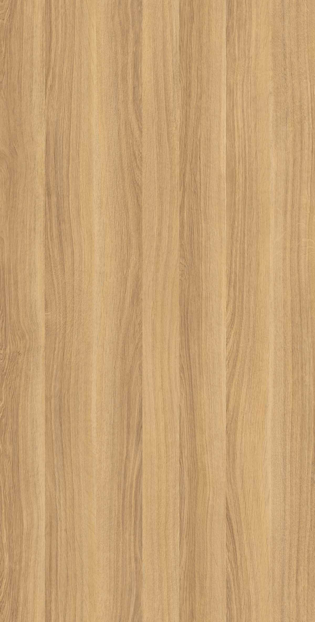 K5896 AN Roble Elegant - Tablero | KAINDL